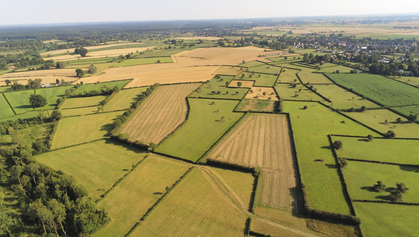 Valorisation du rôle du bocage - PAPI : Programme d'Action et de ...